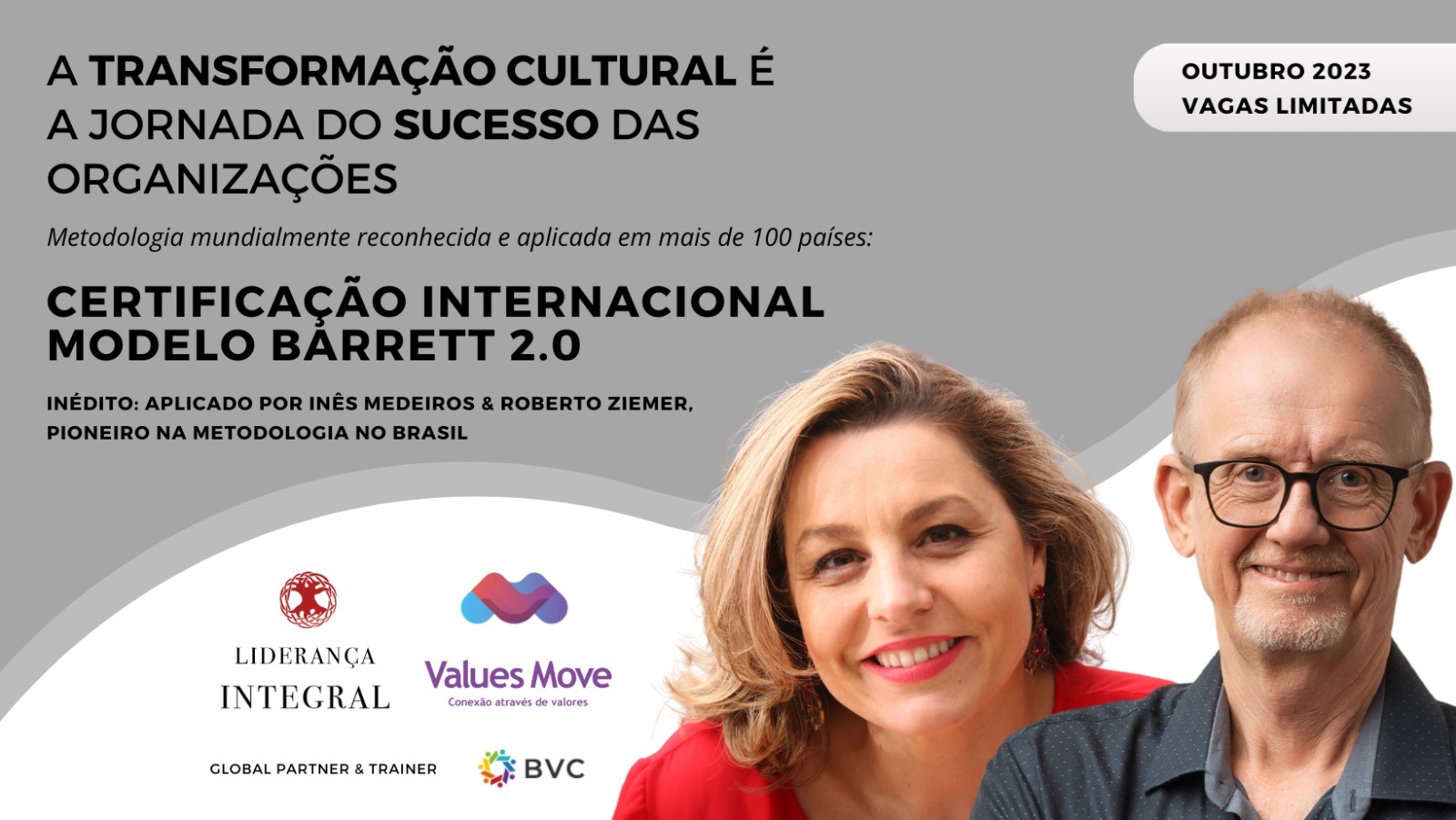 Culture Assessment Certification – Values Move